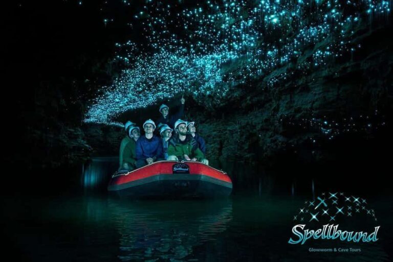 Ex Auckland Spellbound Glowworm & Cave Explorer Private Tour - What Makes This Tour Stand Out?