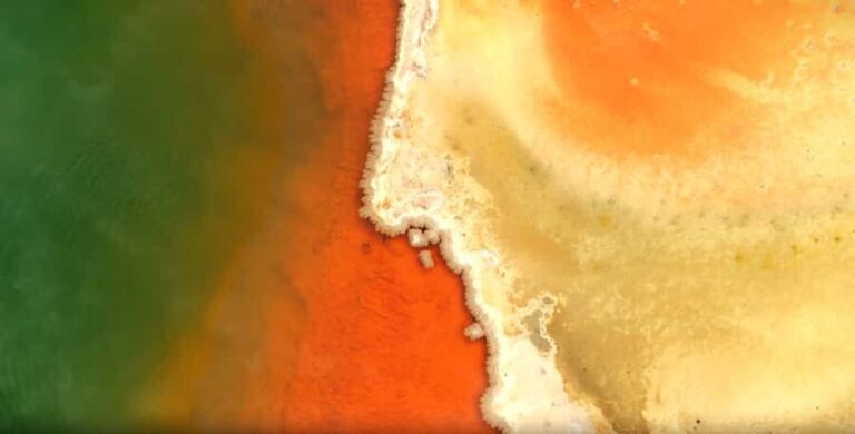 Ex Auckland - WAI-O-TAPU - WAIKITE Pool & HUKA FALLS Cruise - Exploring the Day Step-by-Step