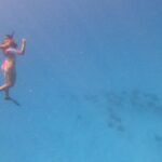 Exceptional Half Day on the Bora Bora Lagoon in Combo - Why This Tour Represents Good Value