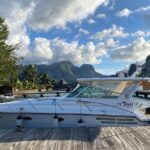 Exceptional whale watching in a Tahiti Yacht - Who Should Consider This Tour?