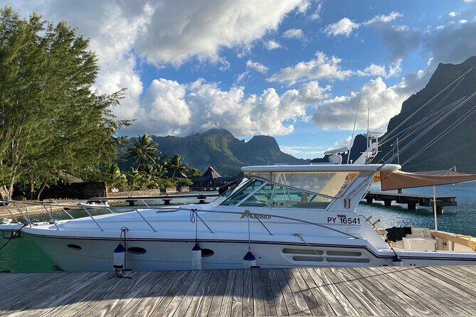 Exceptional whale watching in a Tahiti Yacht - Who Should Consider This Tour?
