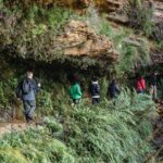 Exclusive Blue Mountains Wildlife and Bushwalk Tour From Sydney - Who Is This Tour Perfect For?