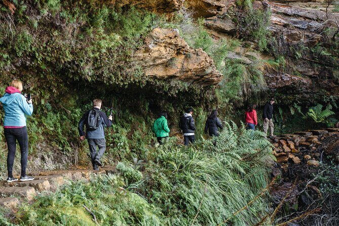 Exclusive Blue Mountains Wildlife and Bushwalk Tour From Sydney - Who Is This Tour Perfect For?