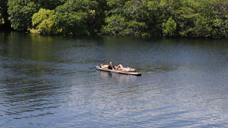 Exclusive dining experience next to a cenote in Tulum - The Real-World Insights from Reviewers