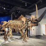 Exclusive Drumheller Private Tour from Calgary - Transportation and Organization