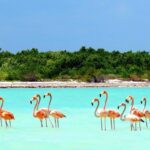 Exclusive Holbox: Yalahau, Punta Mosquito and Isla Pasion - Detailed Breakdown of the Itinerary