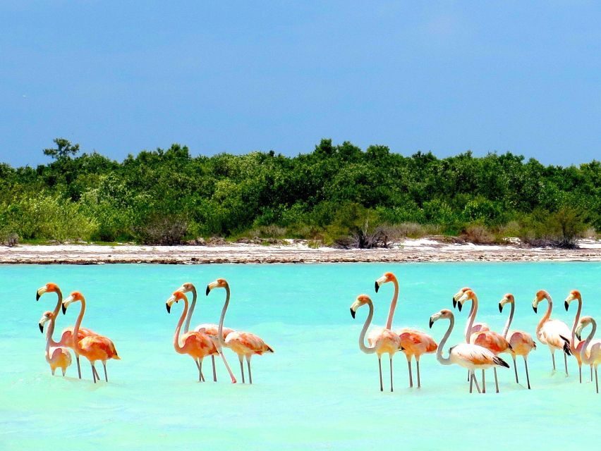 Exclusive Holbox: Yalahau, Punta Mosquito and Isla Pasion - Detailed Breakdown of the Itinerary