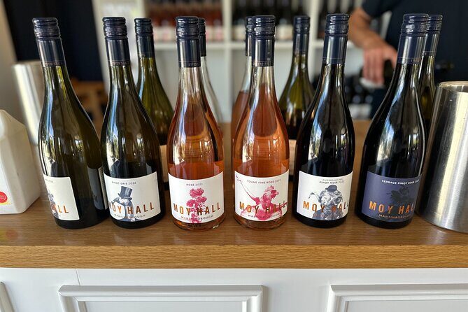 Exclusive Martinborough Wine Tour - Critical Review: What Travelers Need to Know