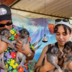 Exclusive Tour in Teotihuacan, Breakfast in the Cave and CDMX pick-up - What Travelers Are Saying: Authentic Insights from Reviews