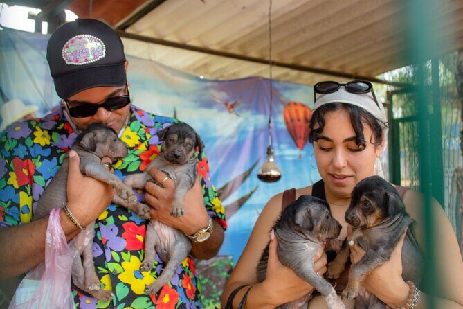 Exclusive Tour in Teotihuacan, Breakfast in the Cave and CDMX pick-up - What Travelers Are Saying: Authentic Insights from Reviews