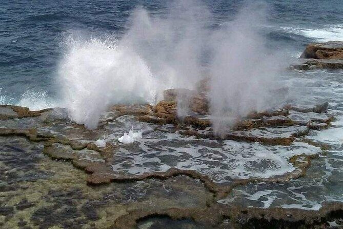 Exclusive Tour of Tongatapu - The Drawbacks & Considerations