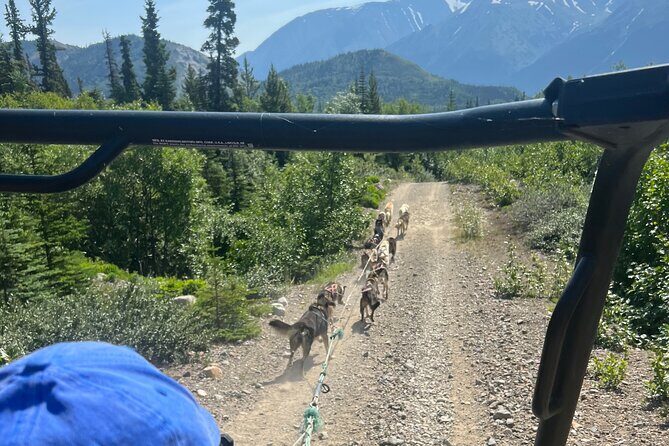 Exclusive Yukon Full-Day Tour with Dog Mushing Adventure - The Highlight: Dog Mushing Adventure
