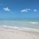 Excursion to Celestun, Swimming, Hiking & Boat Ride - Final Thoughts