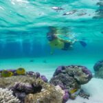 Exmouth: Half Day Coral by Kayak tour - Why This Tour Works for Different Travelers