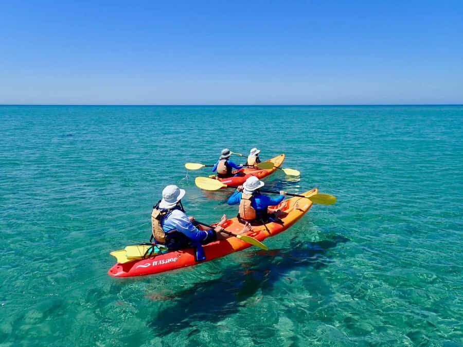 Exmouth: Half Day Turtle Kayak & Snorkel Tour - Who Will Love This Tour?