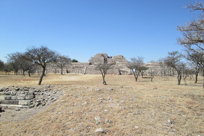Experience an Archeological Tour in Cañada de la Virgen - Why This Tour Offers Great Value