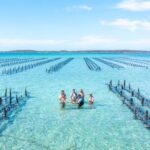 Experience Coffin Bay Oyster Farm and Bay Tour - The Itinerary in Detail