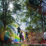 Experience Ourimbah State Forest Networld Adventure - The Location and Meeting Point