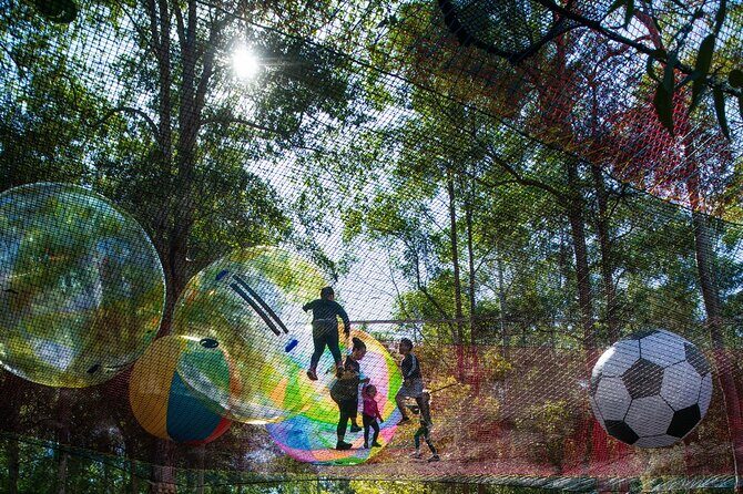 Experience Ourimbah State Forest Networld Adventure - The Location and Meeting Point