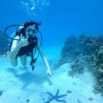 Experience Scuba Diving - No Certification Needed! - The Guides and Safety