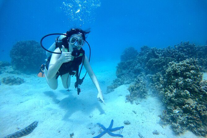 Experience Scuba Diving - No Certification Needed! - The Guides and Safety