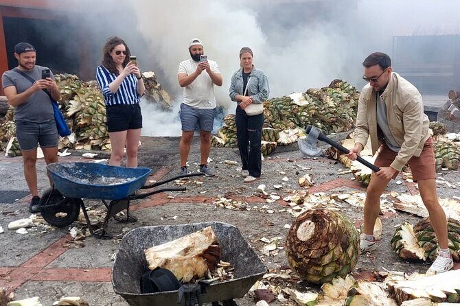 Experience the Mezcal Tour in Oaxaca - Final Thoughts: Is the Mezcal Tour in Oaxaca Worth It?