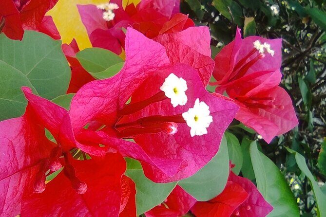 Expert Guided: Chichen Itza Tour with Early Access - The Sum Up: Who Is This Tour For?