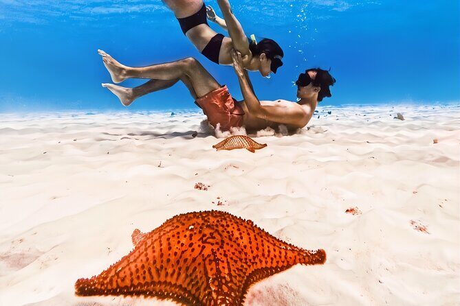 Exploration to El Cielo and Reefs: Live up close with stars - FAQ