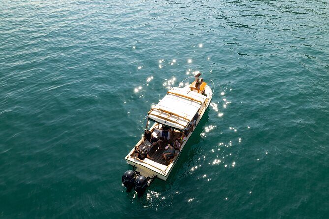 Explore Banderas Bay: Exclusive Boat Journies - Who Would Love This Tour?