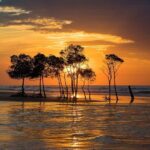 Explore Delightful Darwin: Self-Guided Audio Tour - FAQ