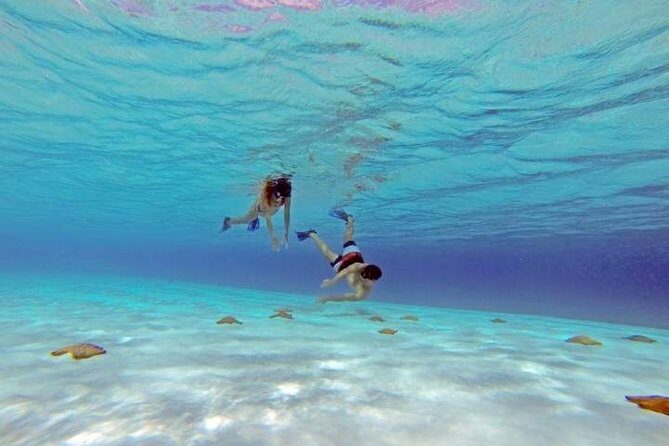 Explore El Cielo in Cozumel. Snorkel in 3 different reefs & visit Cielito Beach. - Transportation and Logistics