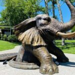 Explore gardens & galleries filled with incredible art, Matakana - Who Should Visit?