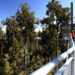 Explore Hokitika Gorge and Tree Top Walkway - Including the Details That Matter