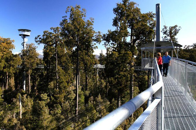 Explore Hokitika Gorge and Tree Top Walkway - Including the Details That Matter