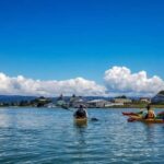 Explore Humboldt Bay by Kayak - A Closer Look at the Humboldt Bay Kayaking Tour