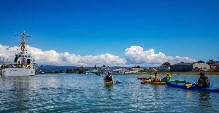 Explore Humboldt Bay by Kayak - A Closer Look at the Humboldt Bay Kayaking Tour