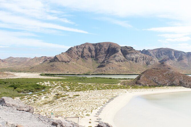 Explore La Paz and Paradise Beaches: Balandra and El Tecolote - Balandra Beach: Nature’s Masterpiece