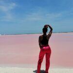 Explore Las Coloradas & Rio Lagartos from Riviera Maya - Final Thoughts: Is It Worth It?