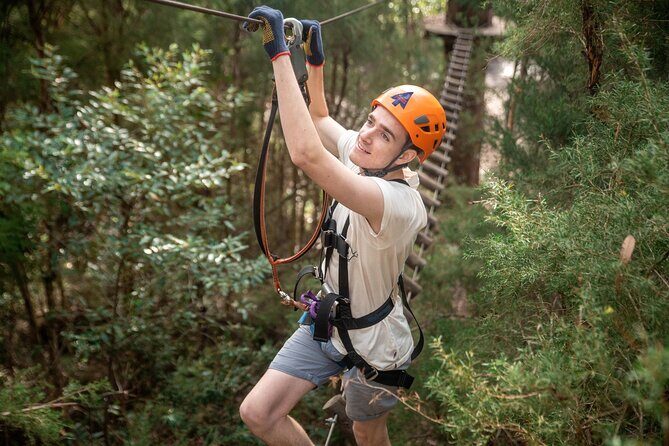 Explore Ourimbah State Forest Tree Ropes Course - A Close Look at the Itinerary