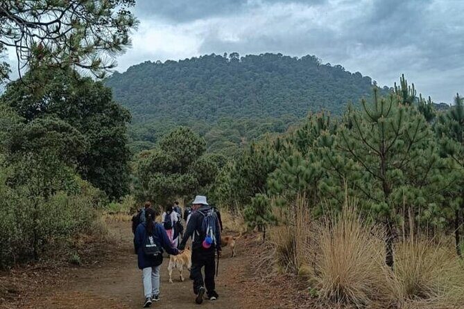 Explore the Caves of an Inactive Volcano on CDMX - What Travelers Say
