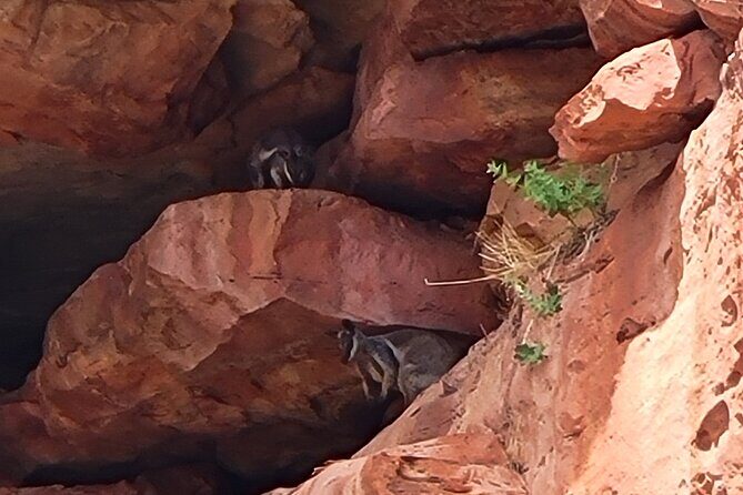 Explore the Hidden Gorges: Kalbarri 4WD, Hike, Canoe Experience - The Practicalities: What to Expect