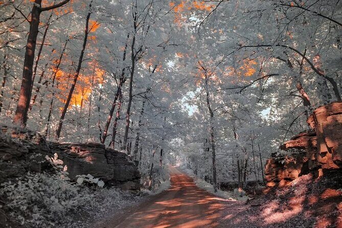 Explore the Views of Niagara Falls - Who Should Consider This Tour?