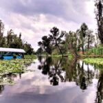 Explore Xochimilcos Canals, Markets, Art & Anahuacalli Museum - Who Should Consider This Tour?