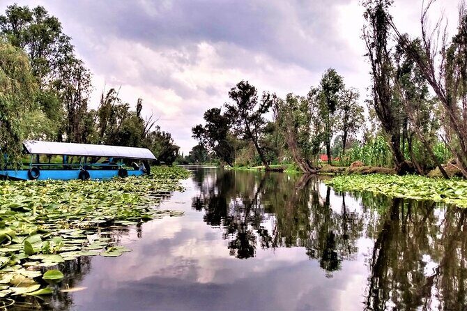 Explore Xochimilcos Canals, Markets, Art & Anahuacalli Museum - Who Should Consider This Tour?