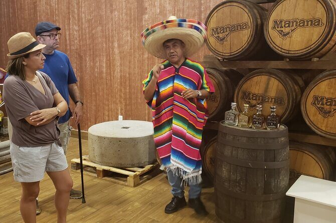 Extraordinary Cancun Van City Tour - Included Transportation - The Itinerary Breakdown