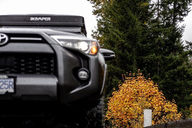 Fall Adventure Vancouver Island Grizzly Bears, High Tea and More - The Itinerary in Detail