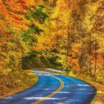 Fall Foliage Tour - Why Choose the Fall Foliage Tour?