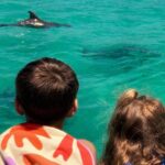 Family Fun Pontoon Rental w/ Lily Pad - Authentic Tips from Reviews and Experience