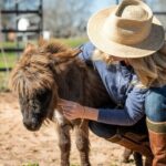 Farm Day Pass General Admission - Practical Details and Tips