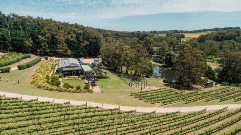 Farm Picnic for 2 adults - Practical Details and Tips for Visiting